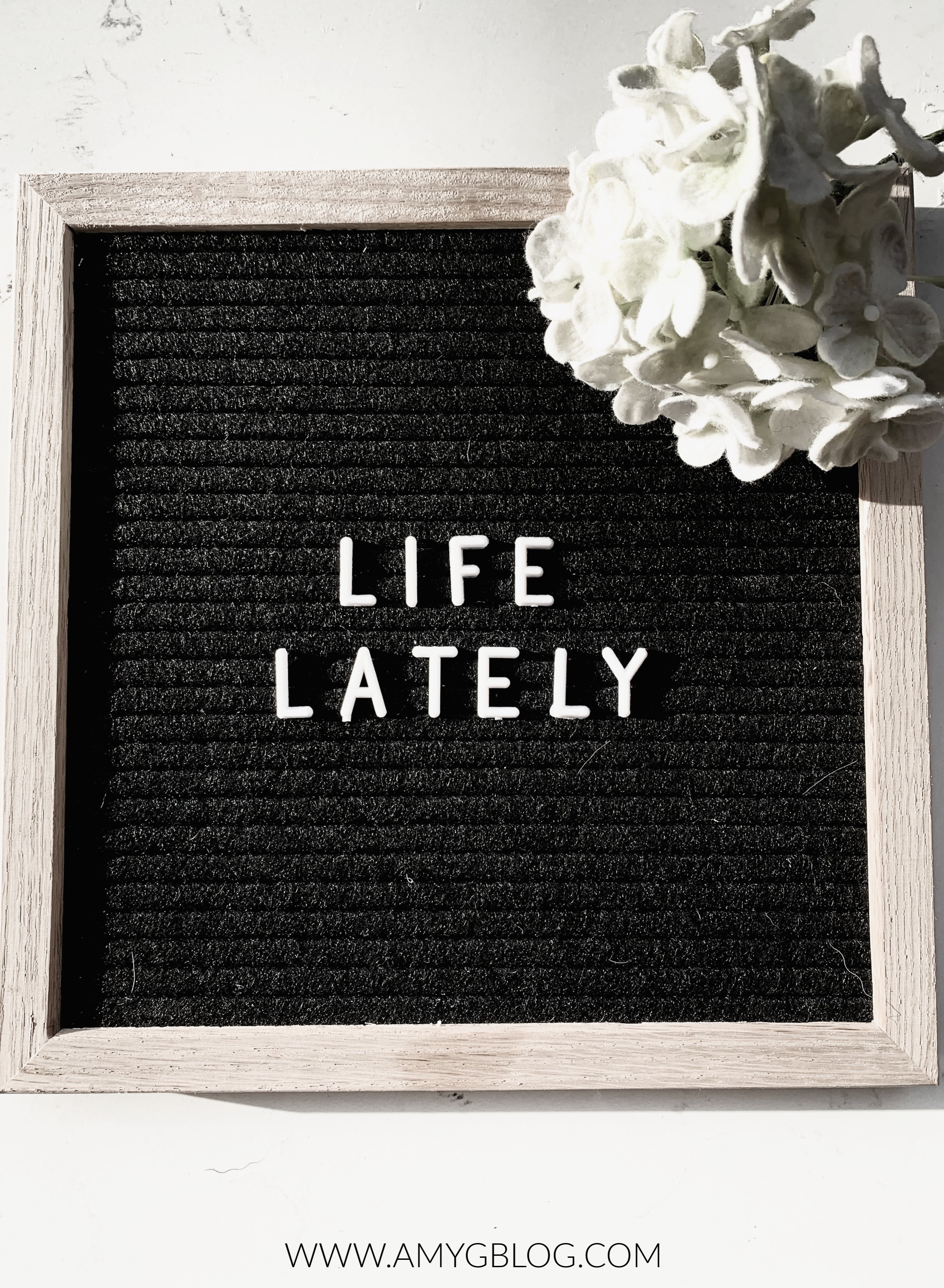 Life Lately: September Edition - Amy's Balancing Act