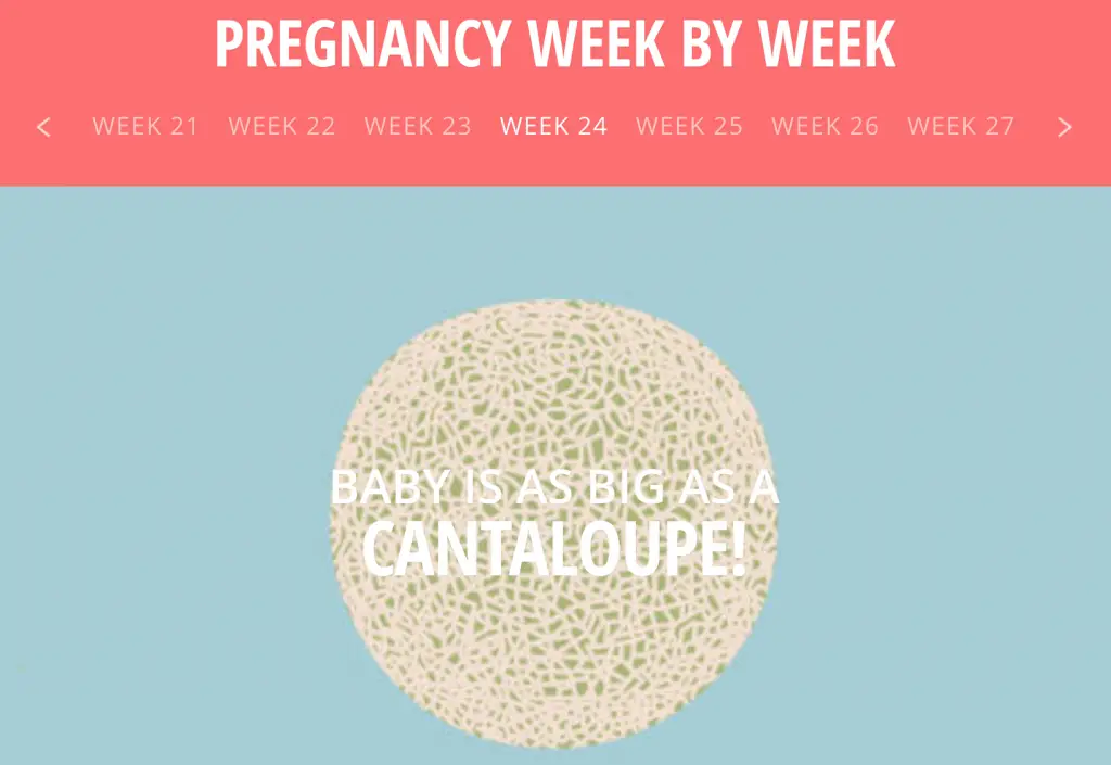 24 Week Bumpdate - Baby #3 - Amy's Balancing Act